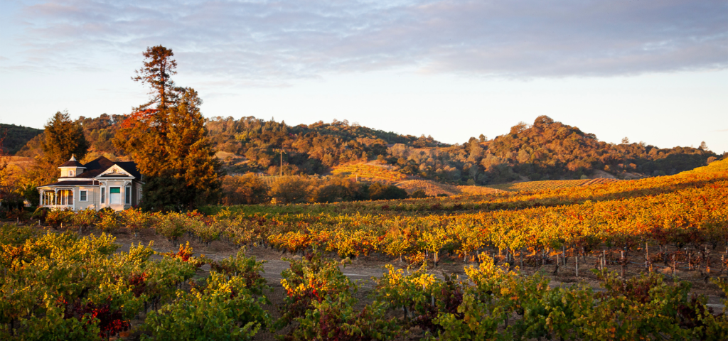 Seghesio Wine Club Newsletters - February 2023